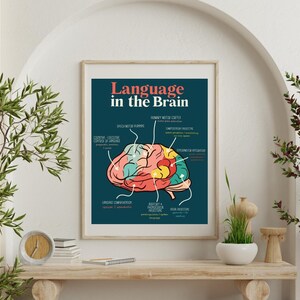 Printable Language Poster Brain Anatomy for Language Speech - Etsy