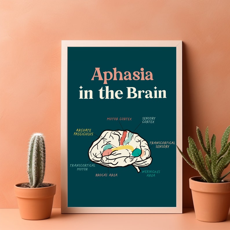 Printable Aphasia Language Poster Brain Anatomy for SLP - Etsy
