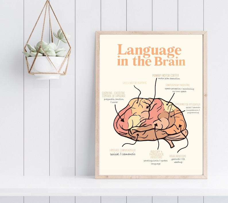Printable Language Poster Brain Anatomy for Language Speech - Etsy ...
