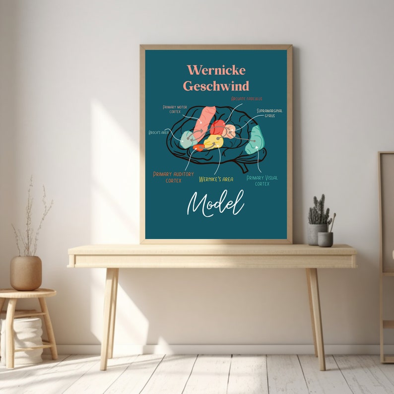 Printable Poster Speech Therapy Office, Language Anatomy Art for SLP ...