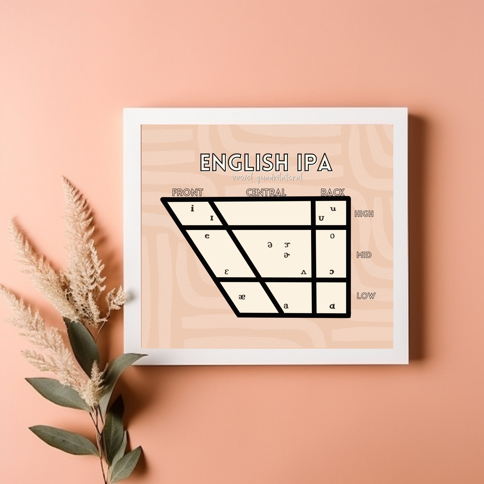 SLP Printable of English IPA Vowel Quadrilateral Speech - Etsy