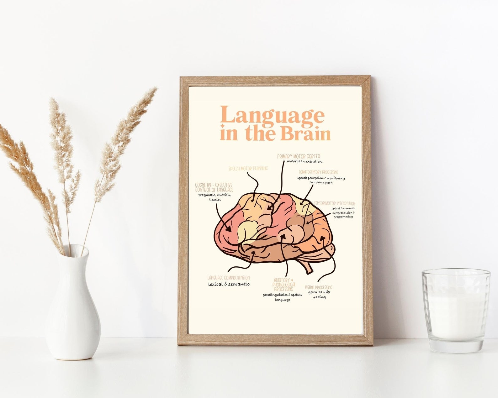 Printable Language Poster Brain Anatomy for Language Speech - Etsy