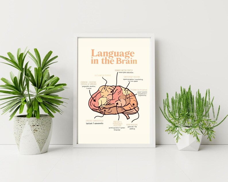 Printable Language Poster Brain Anatomy for Language Speech - Etsy ...