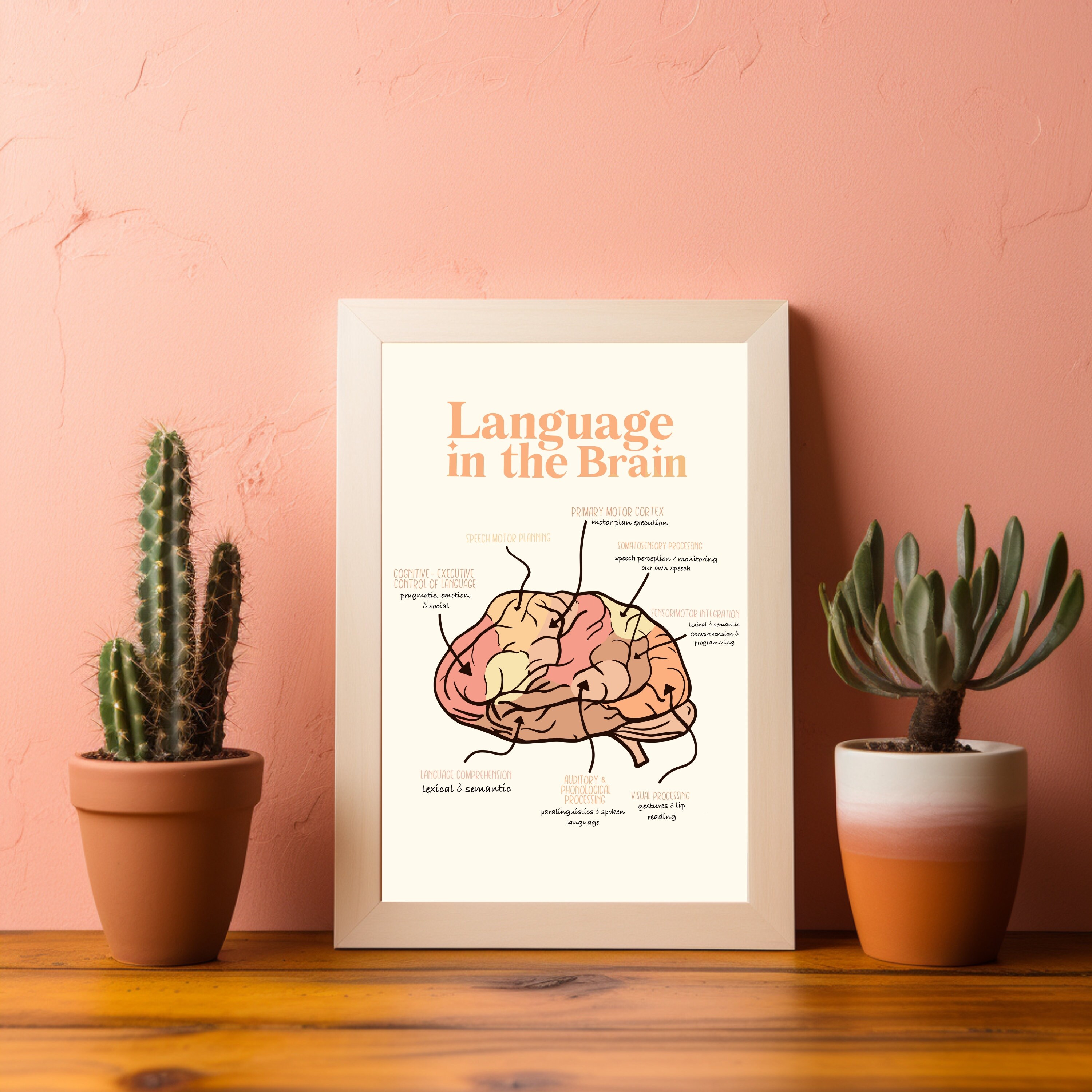 Printable Language Poster, Brain Anatomy for Language, Speech Therapy ...
