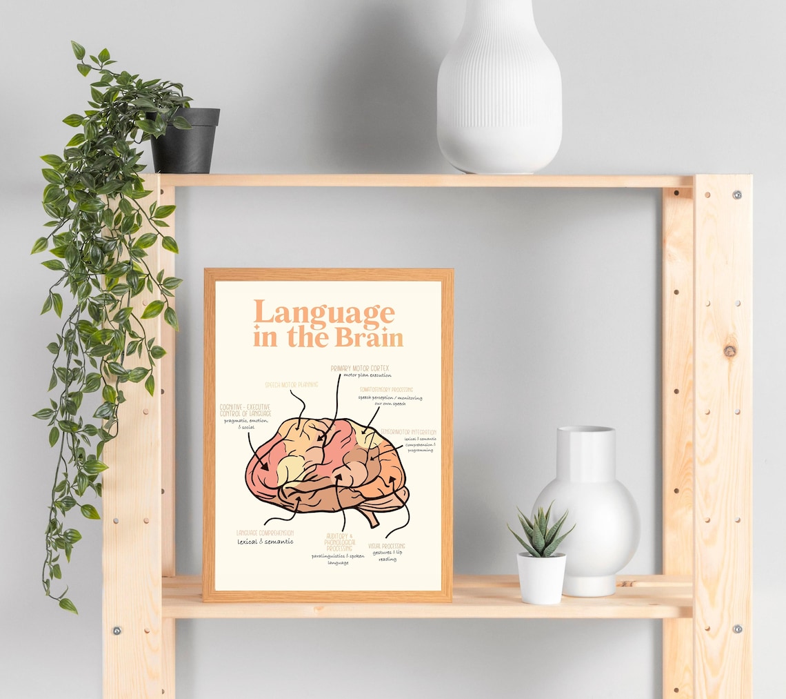Printable Language Poster Brain Anatomy for Language Speech - Etsy