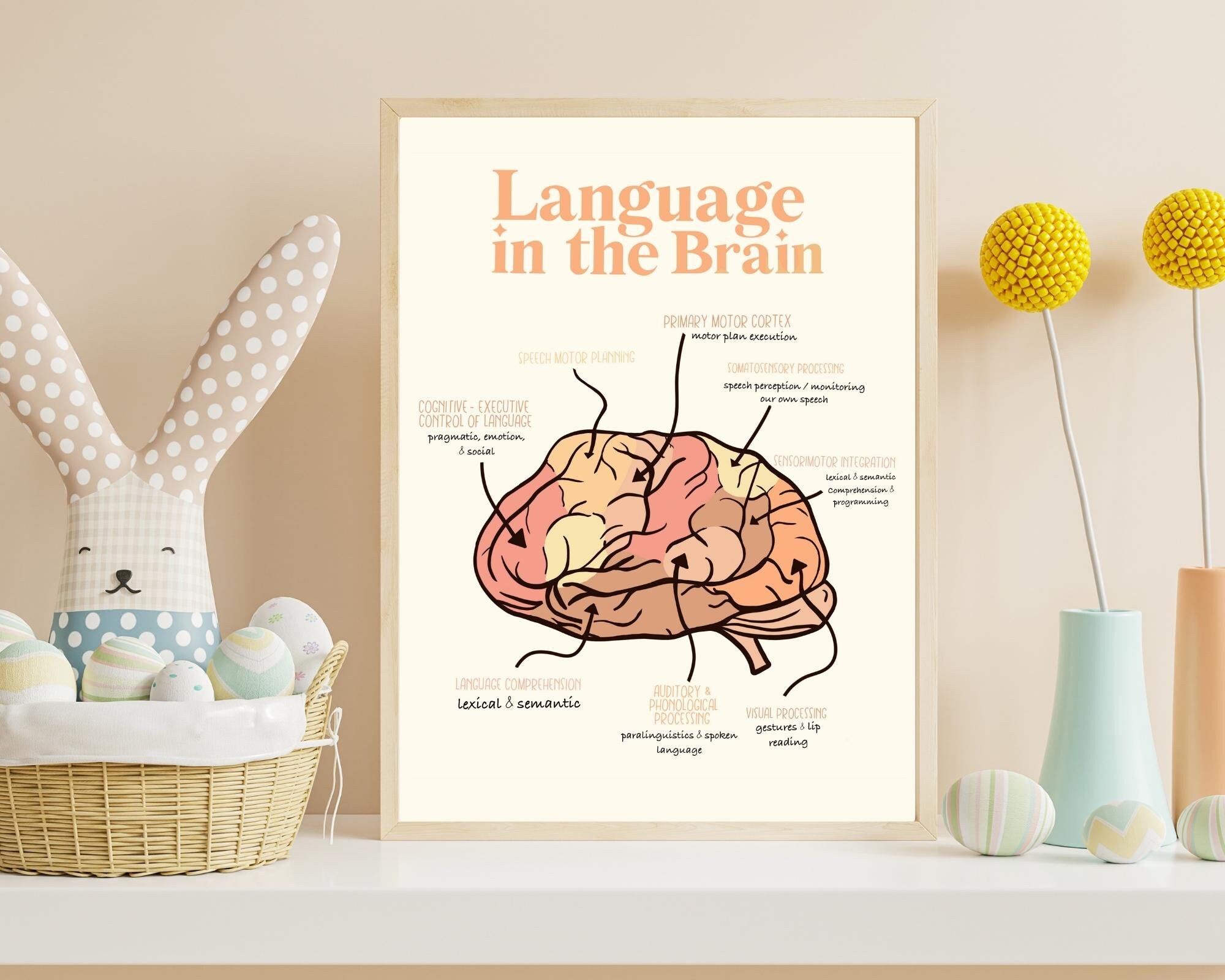 Printable Language Poster Brain Anatomy for Language Speech - Etsy ...