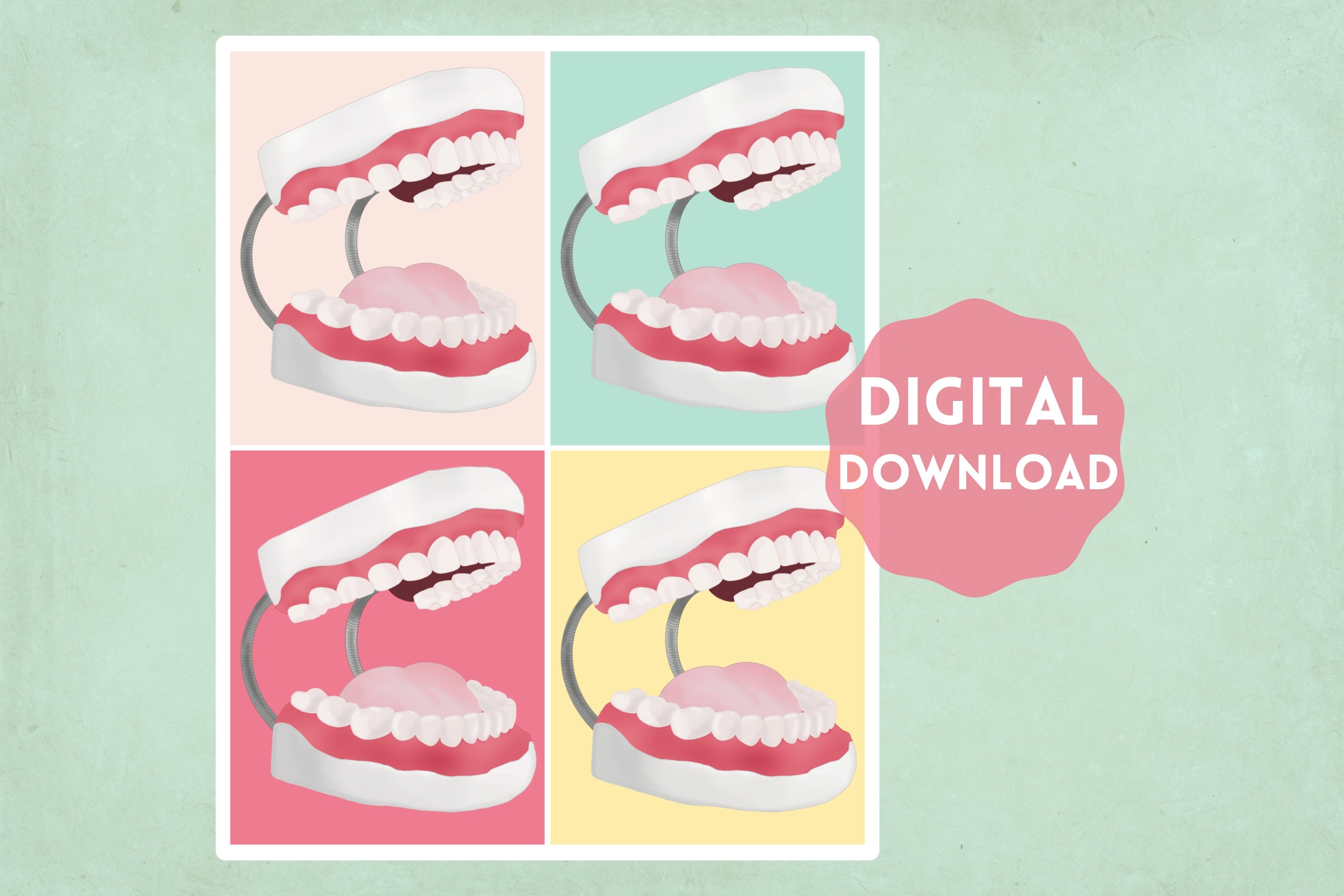 Printable Mouth Art Poster, Speech Anatomy for Language, Speech Therapy ...