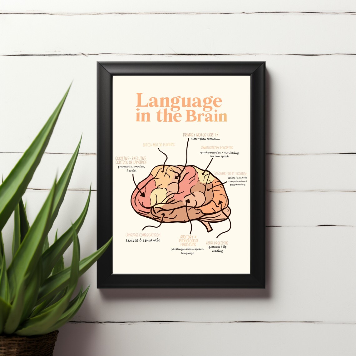 Printable Language Poster, Brain Anatomy for Language, Speech Therapy ...