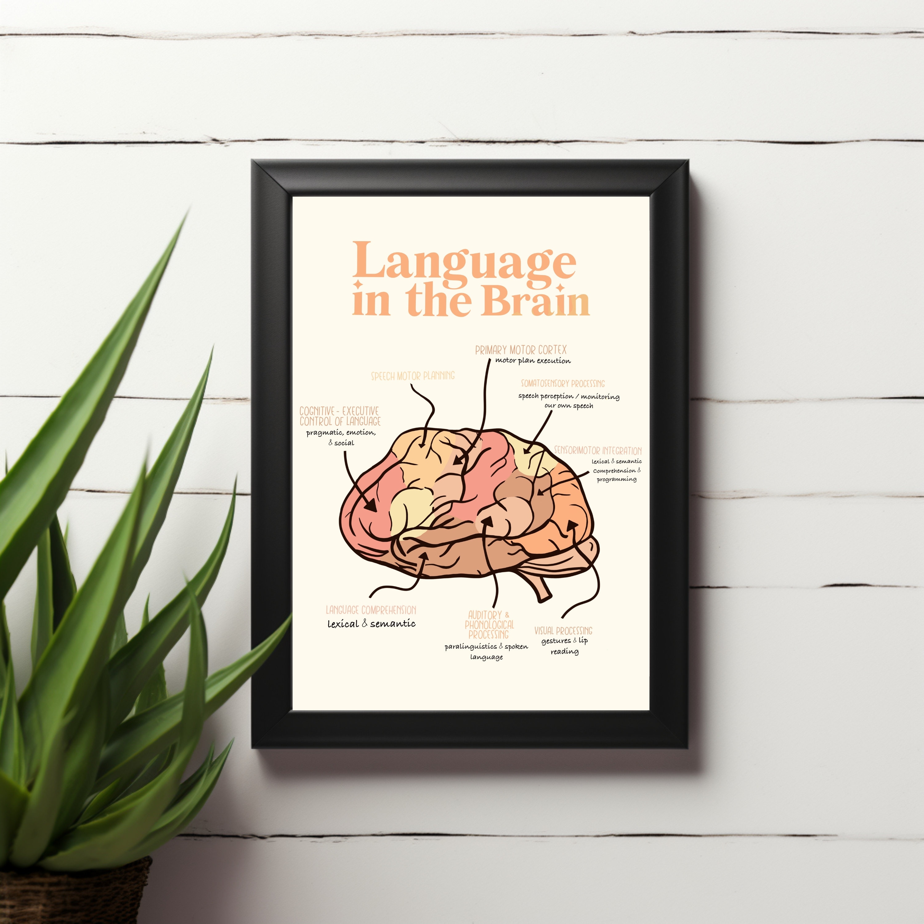 Printable Language Poster, Brain Anatomy for Language, Speech Therapy ...