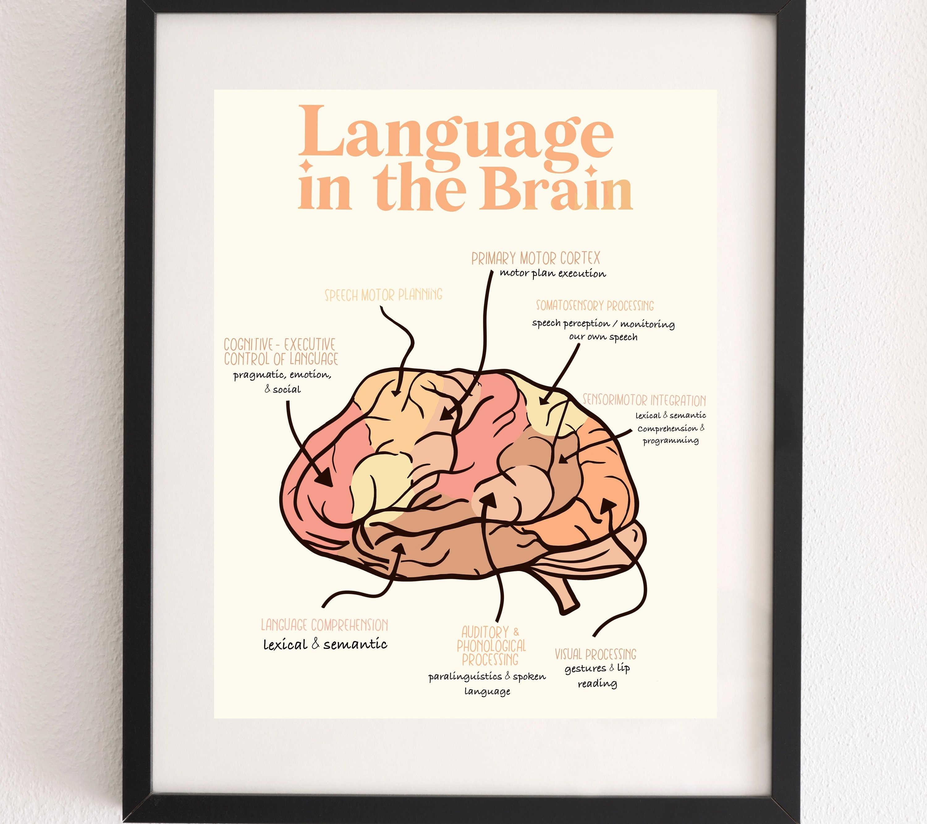 Printable Language Poster Brain Anatomy for Language Speech - Etsy ...