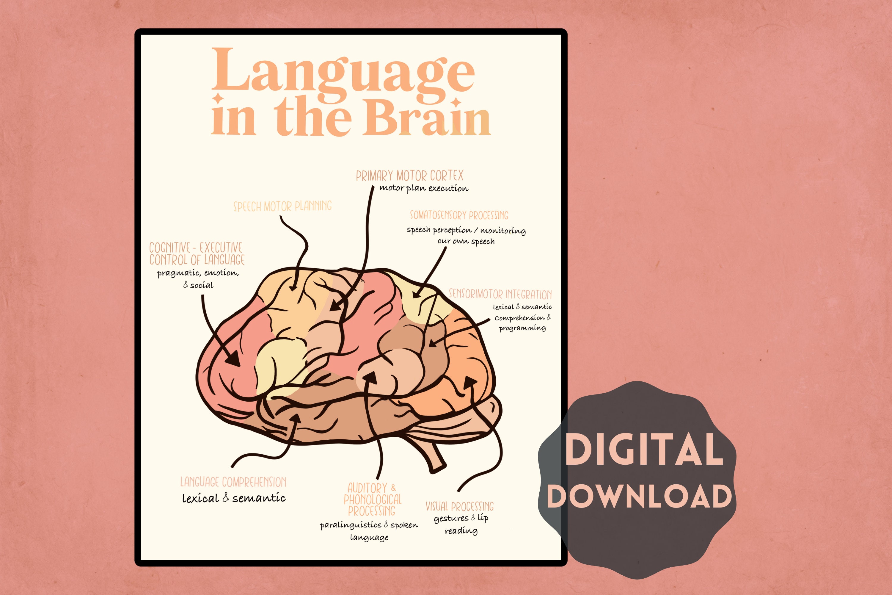 Printable Language Poster, Brain Anatomy for Language, Speech Therapy ...