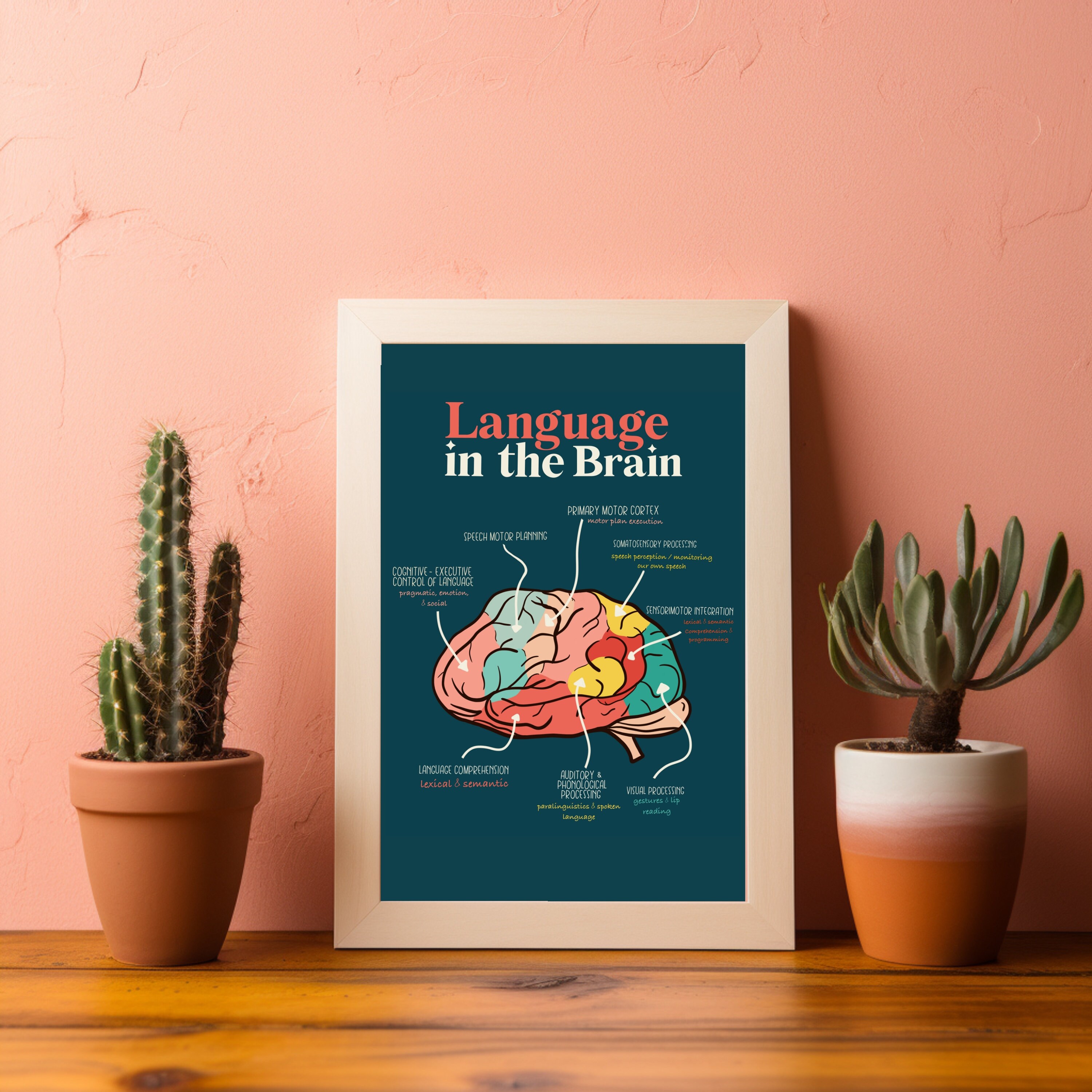 Printable Language Poster, Brain Anatomy for Language, Speech Therapy ...