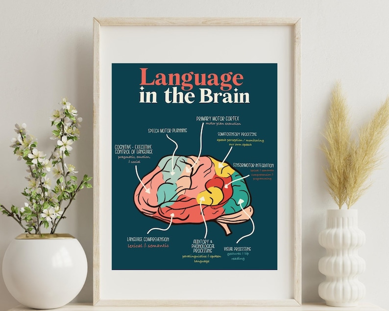 Printable Language Poster, Brain Anatomy for Language, Speech Therapy ...