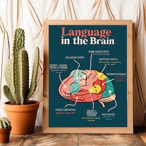 Printable Language Poster, Brain Anatomy for Language, Speech Therapy ...