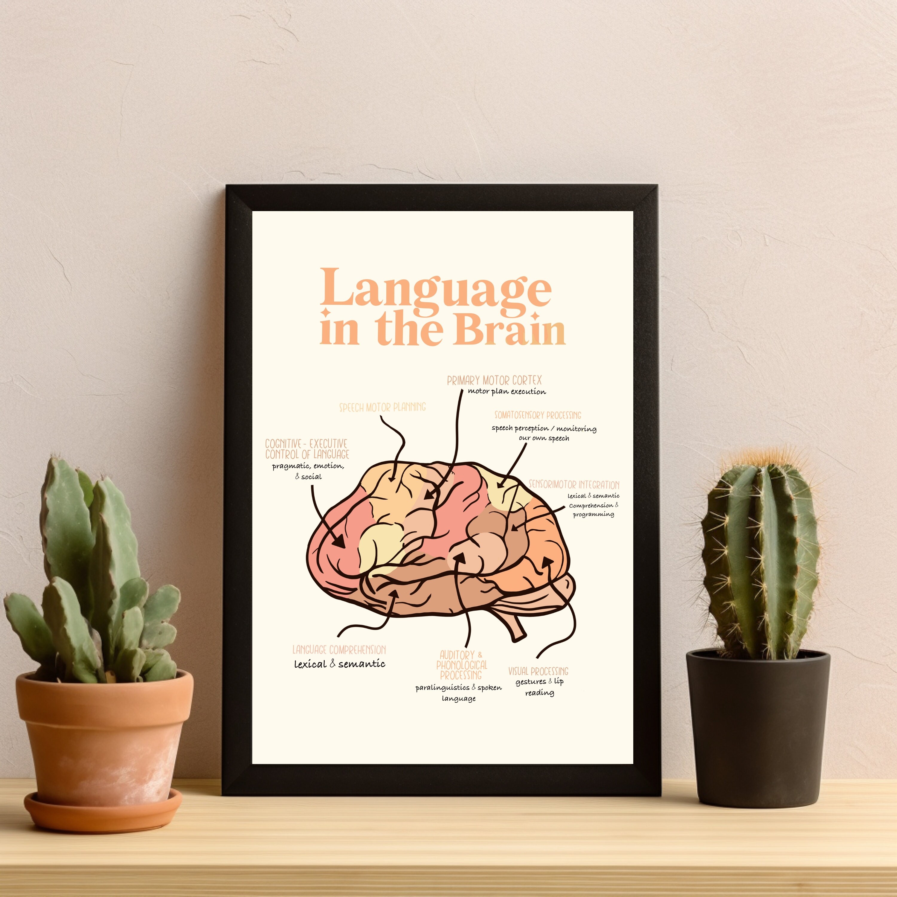 Printable Language Poster, Brain Anatomy for Language, Speech Therapy ...
