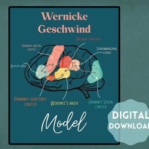 Printable Poster Speech Therapy Office, Language Anatomy Art for SLP ...