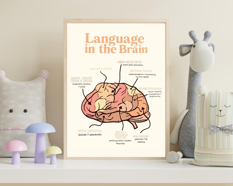 Printable Language Poster Brain Anatomy for Language Speech - Etsy