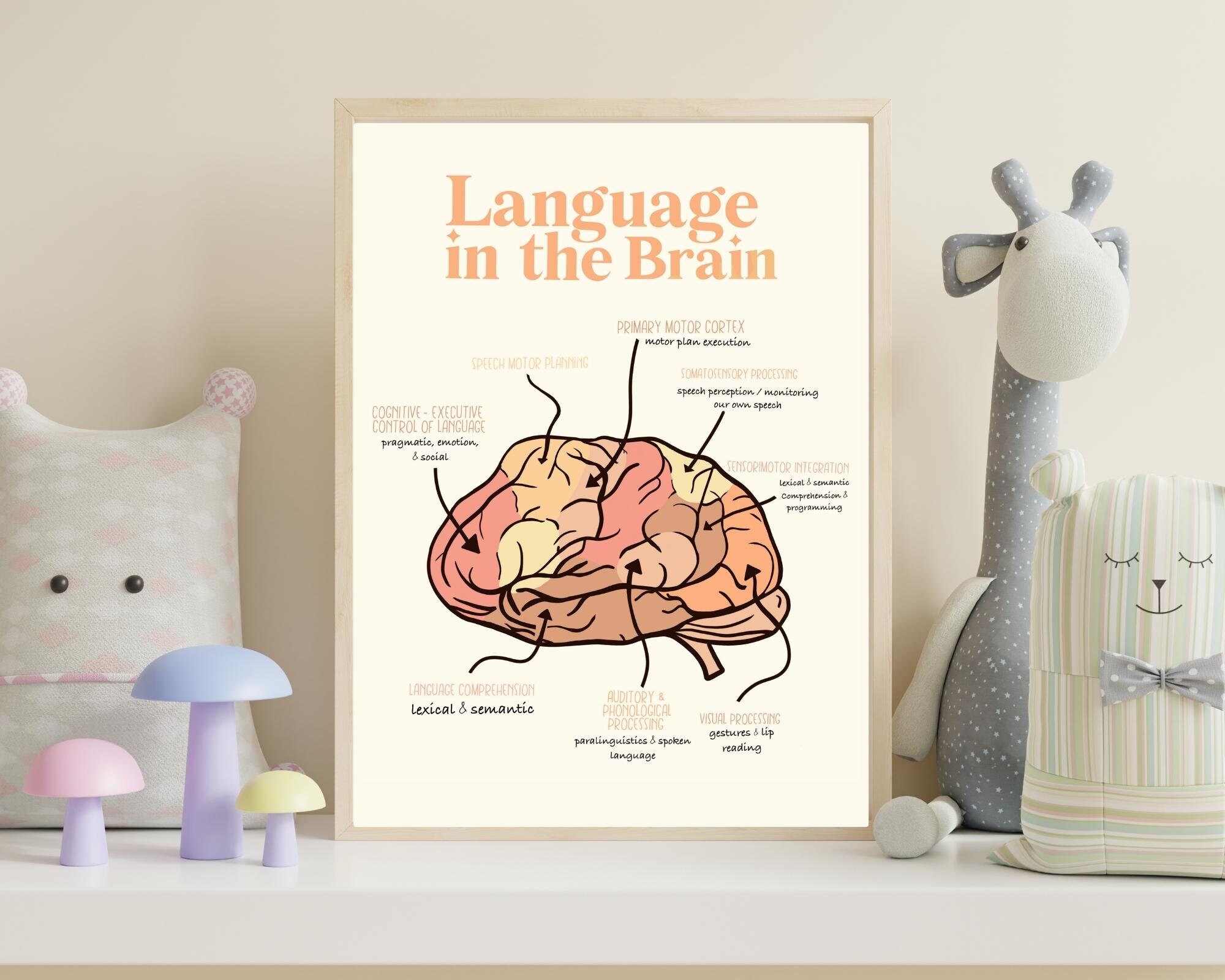 Printable Language Poster Brain Anatomy for Language Speech - Etsy ...