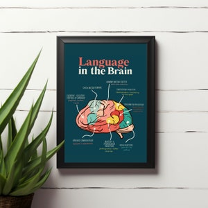 Printable Language Poster, Brain Anatomy for Language, Speech Therapy ...