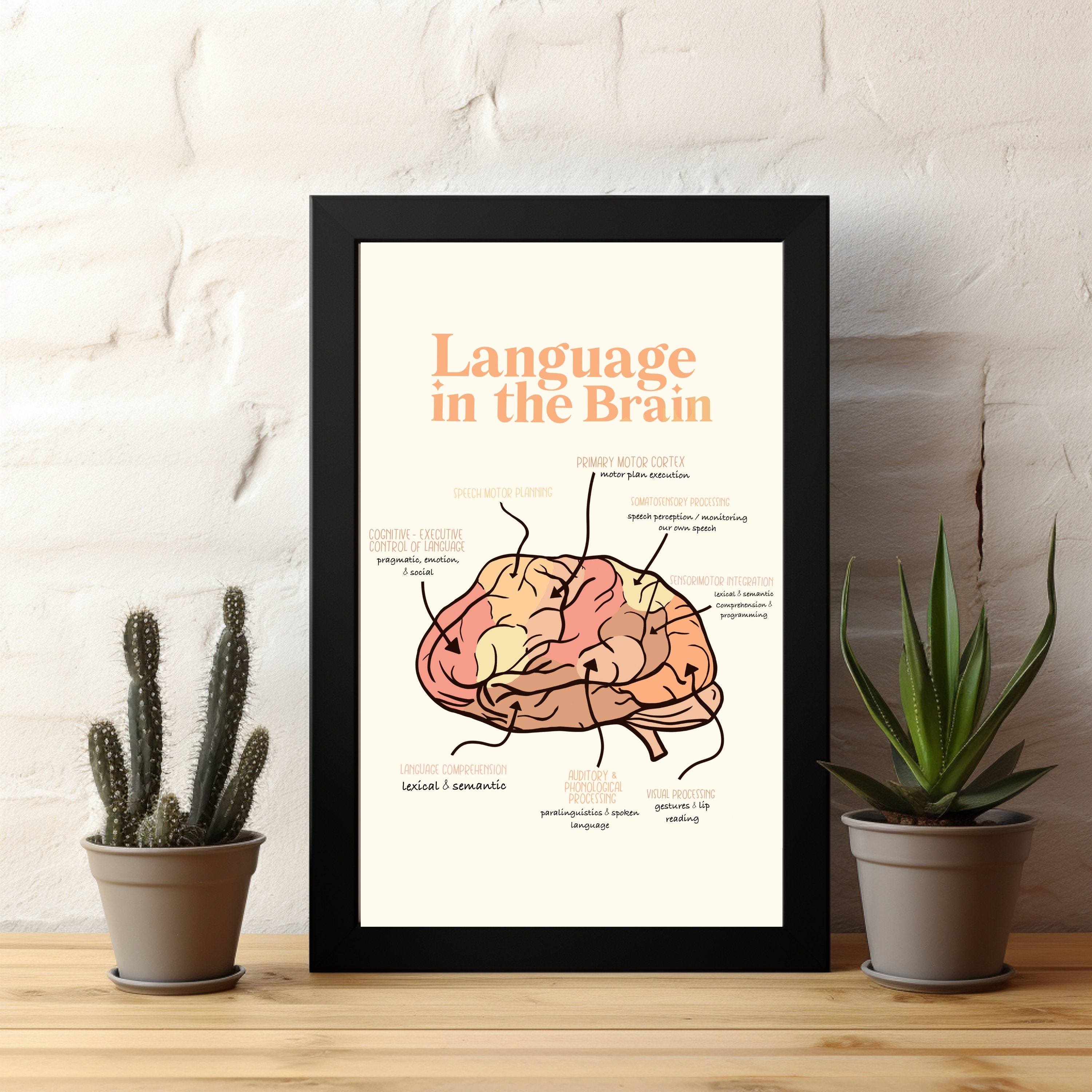 Printable Language Poster, Brain Anatomy for Language, Speech Therapy ...
