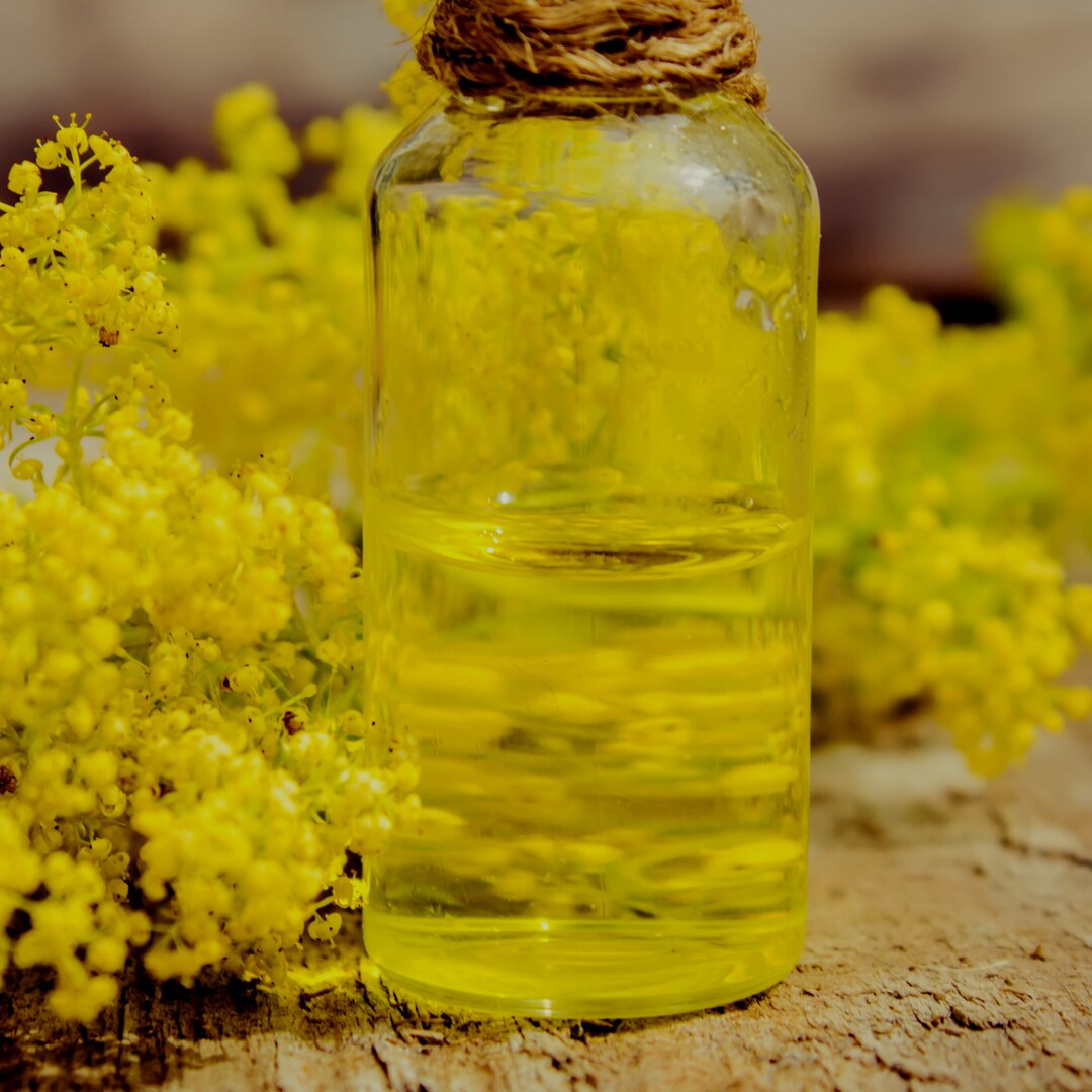 Goldenrod Tincture - Etsy
