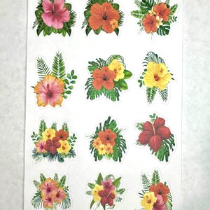 Hibiscus Stickers, Hibiscus Plant, Planner Stickers, Plant Stickers ...