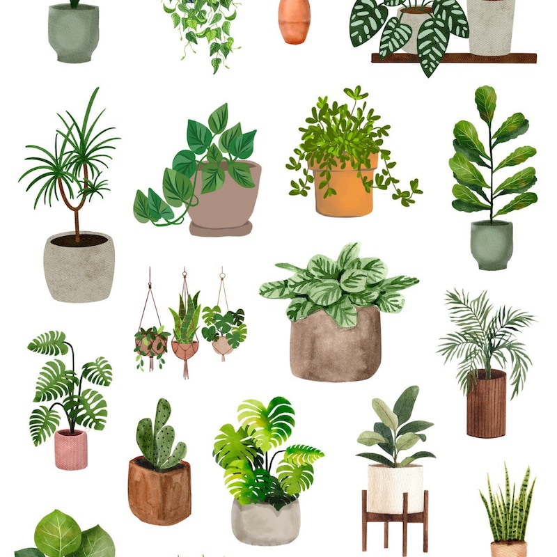 Diecut Plants - Etsy