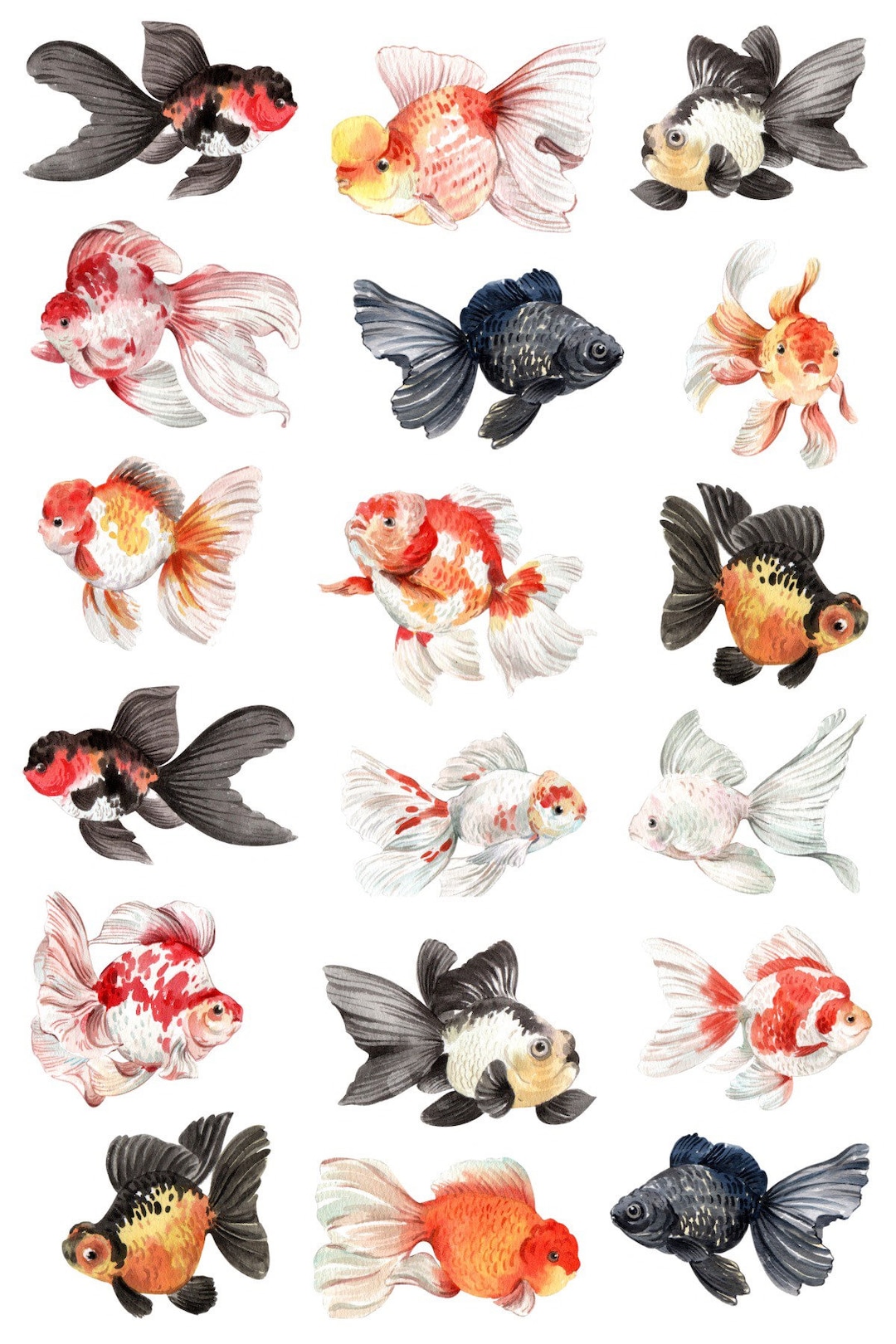 Goldfish Sticker Journal Goldfish Sticker Planner Goldfish Sticker ...