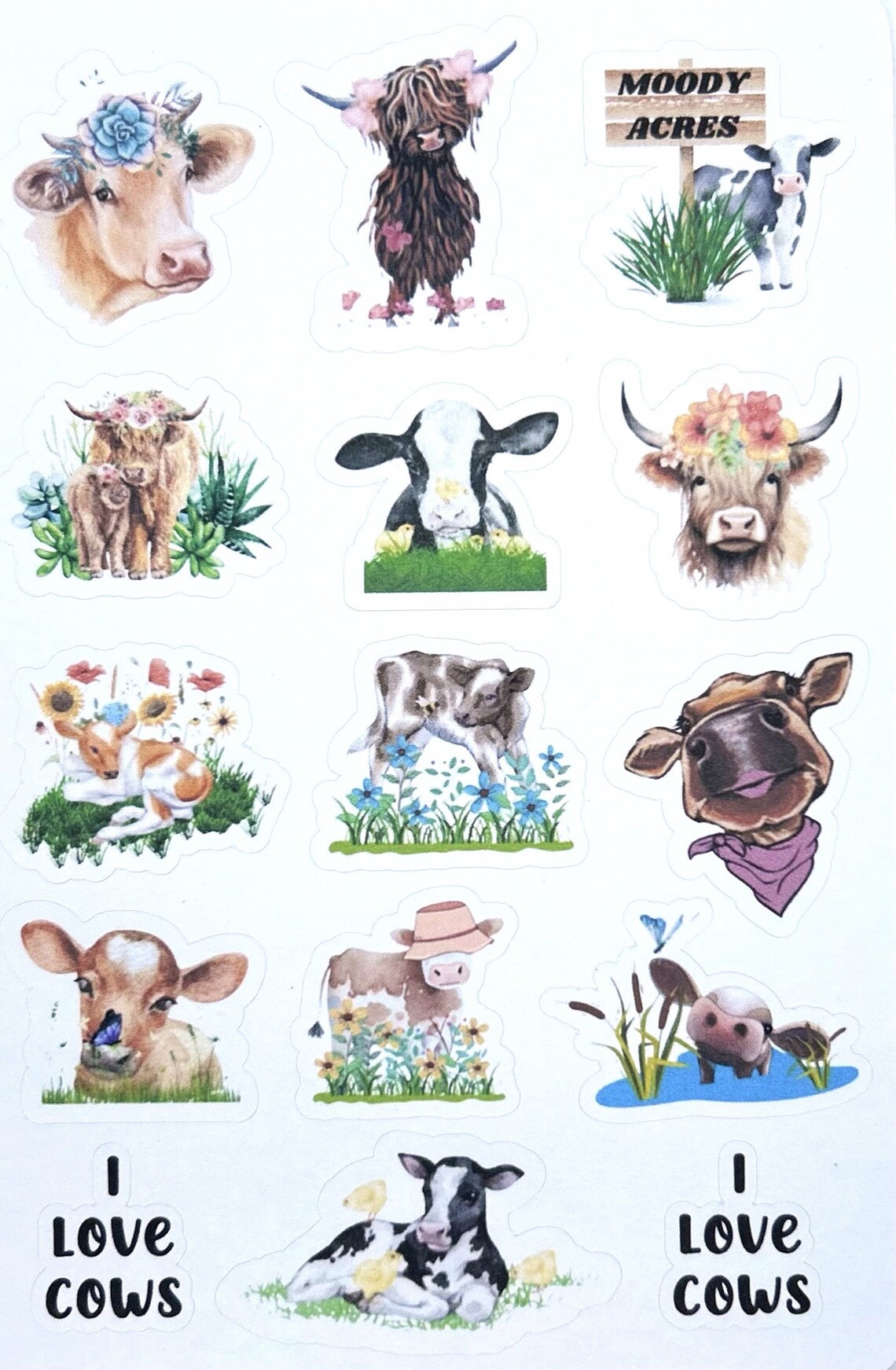 Cow Stickers, Heifer Stickers, Journal and Planning Stickers, Cows ...