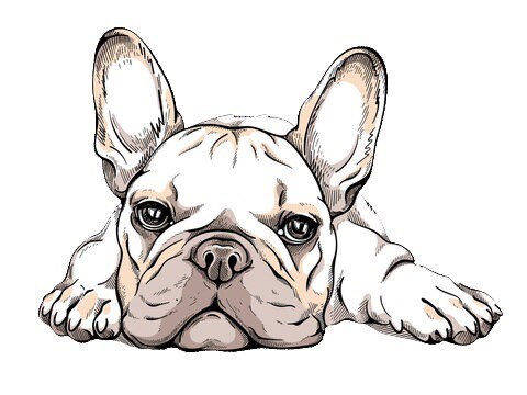 Cute French Bulldog Die Cut Stickers, Journal and Planner Stickers ...