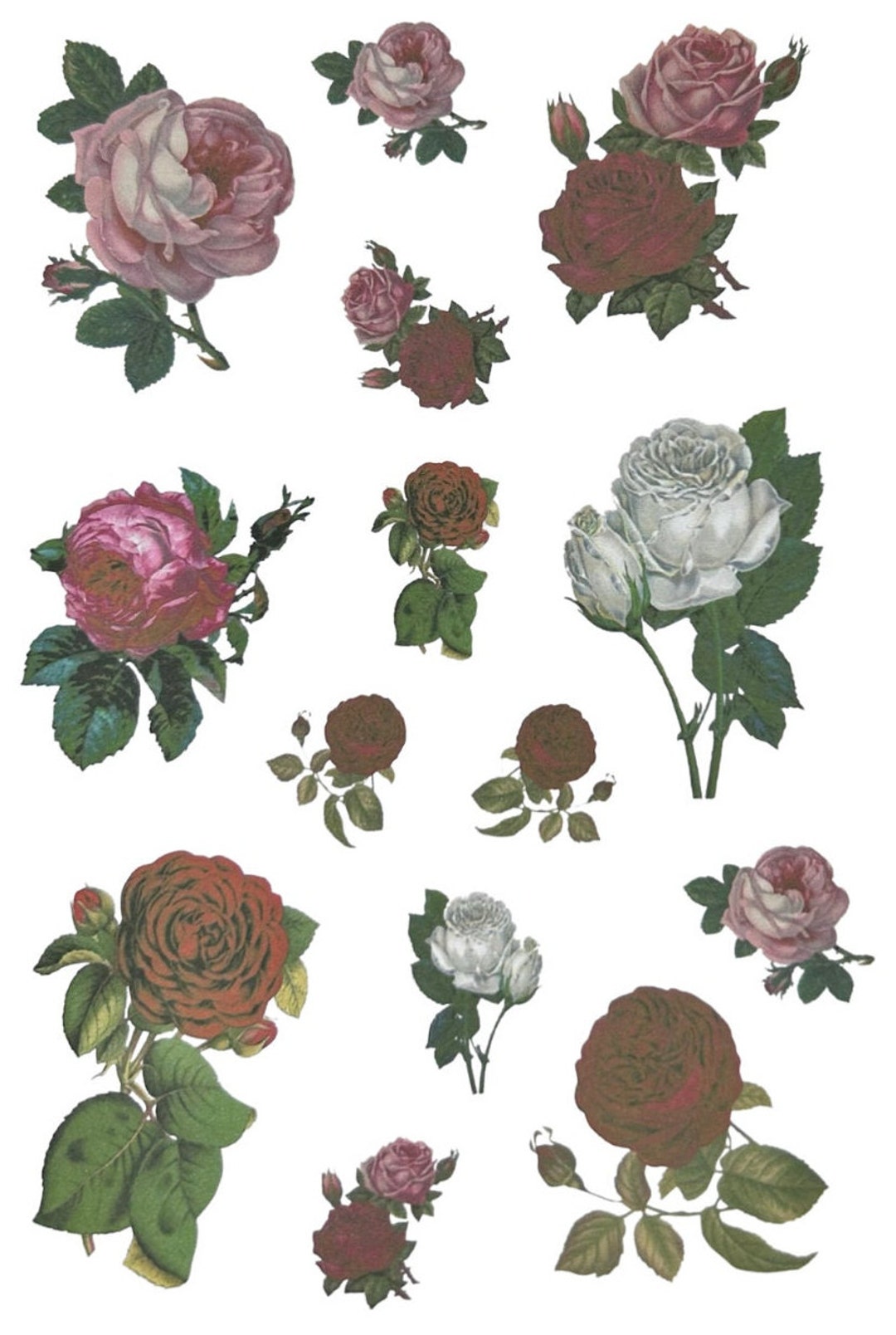 Roses Stickers, Journal and Planning Stickers, Roses - Etsy