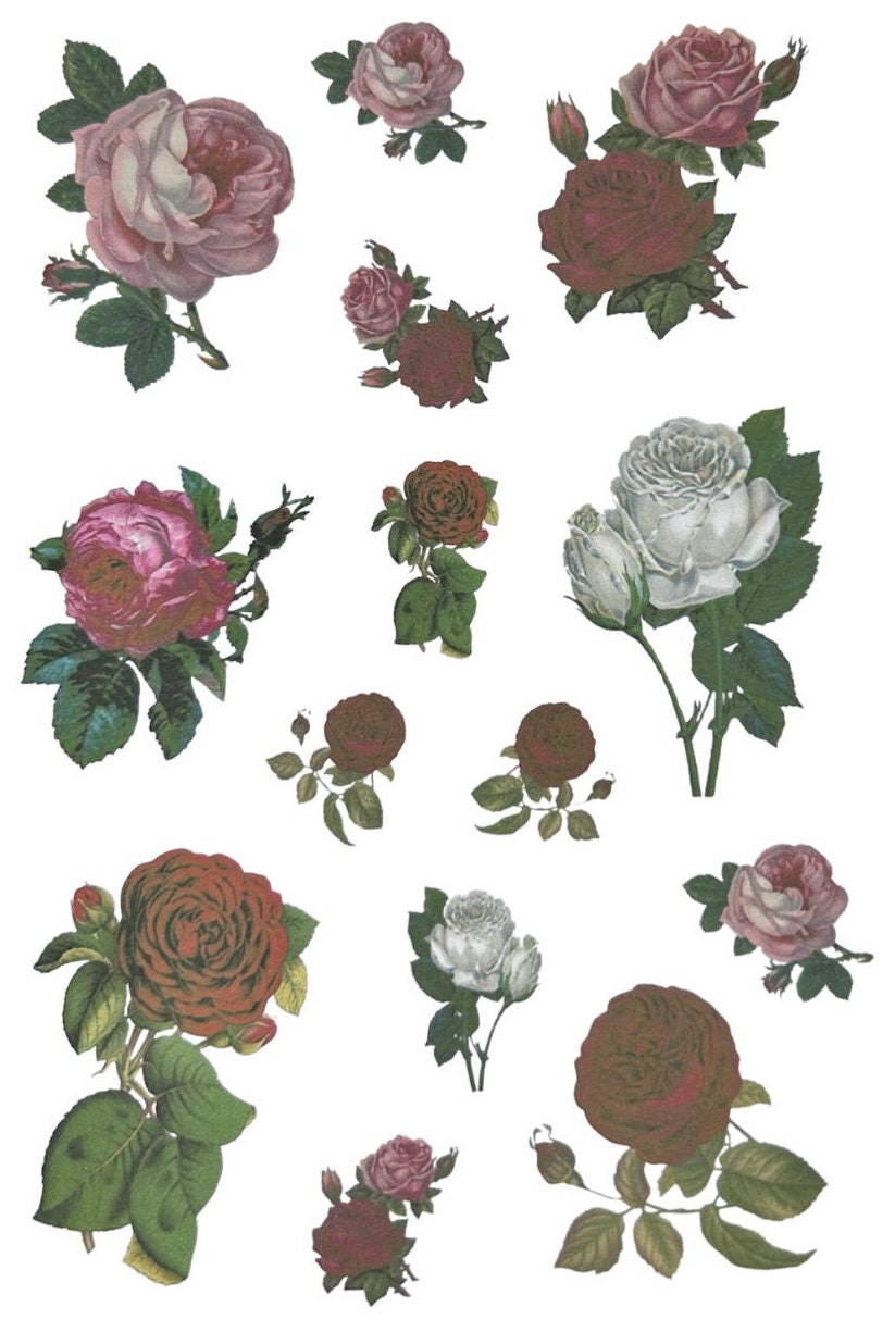 Roses Stickers, Journal and Planning Stickers, Roses - Etsy
