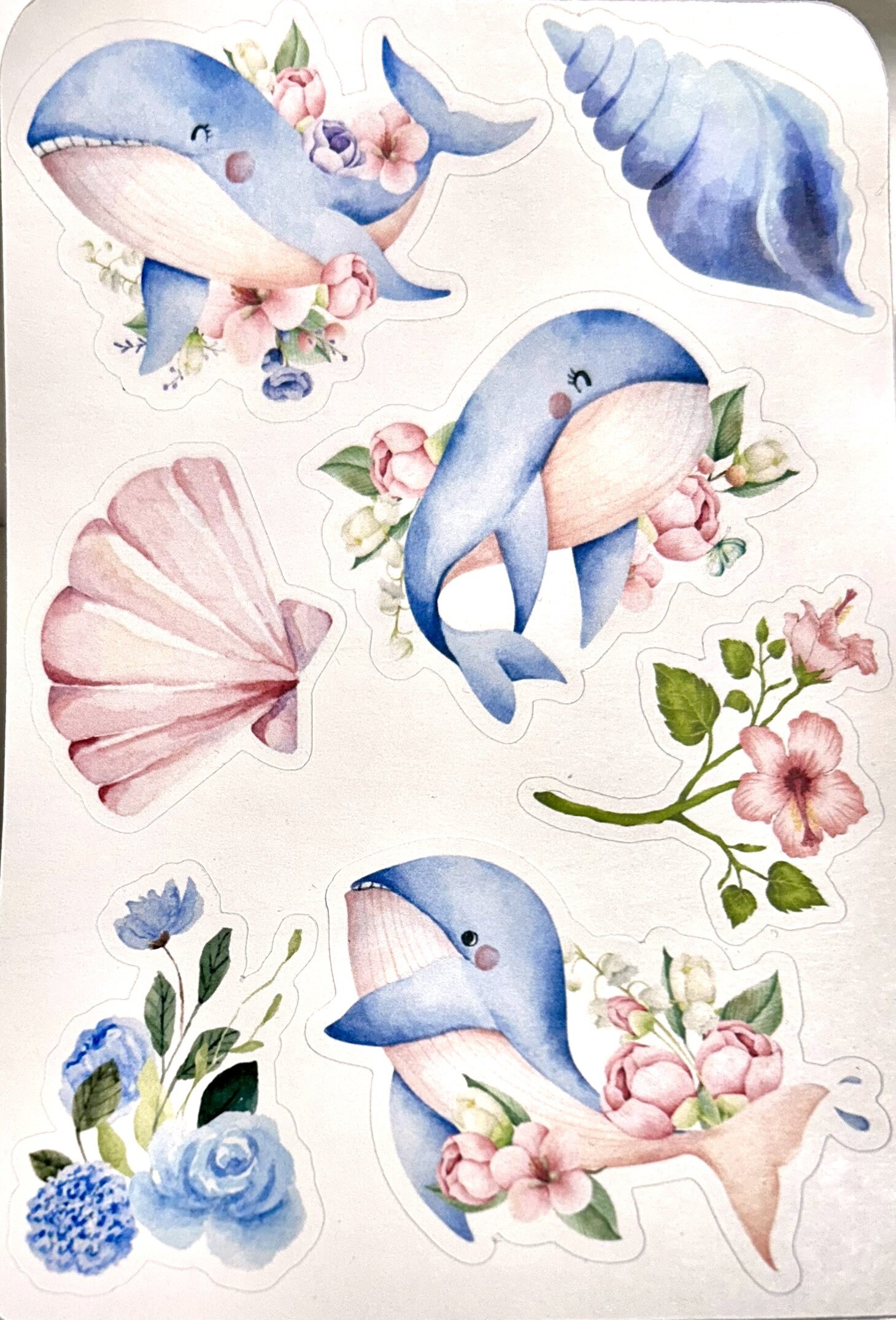 Whale Stickers, Watercolor Whale Stickers, Journal and Planner Stickers ...