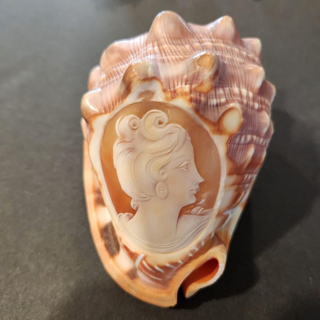 Hand Carved Cameo on 4 X 3 Conch Shell - Etsy