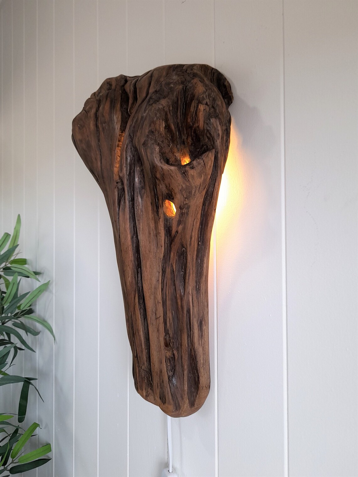 Unique Decorative Driftwood Wall Lamp, Australian Brown Driftwood Wall ...