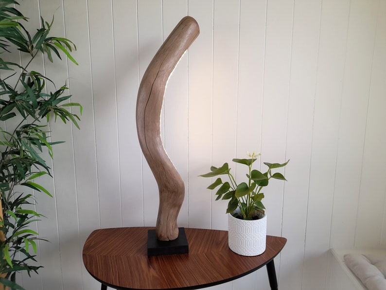 Driftwood Lamp With LED Strip Light on a Black Base, Amazing Australian ...