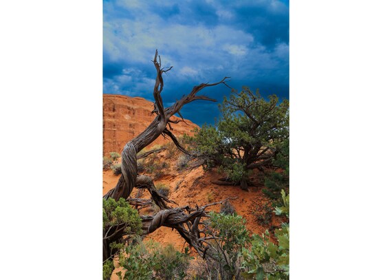 Stunning Moab Color Photo Color Photo Dramatic Print Modern - Etsy