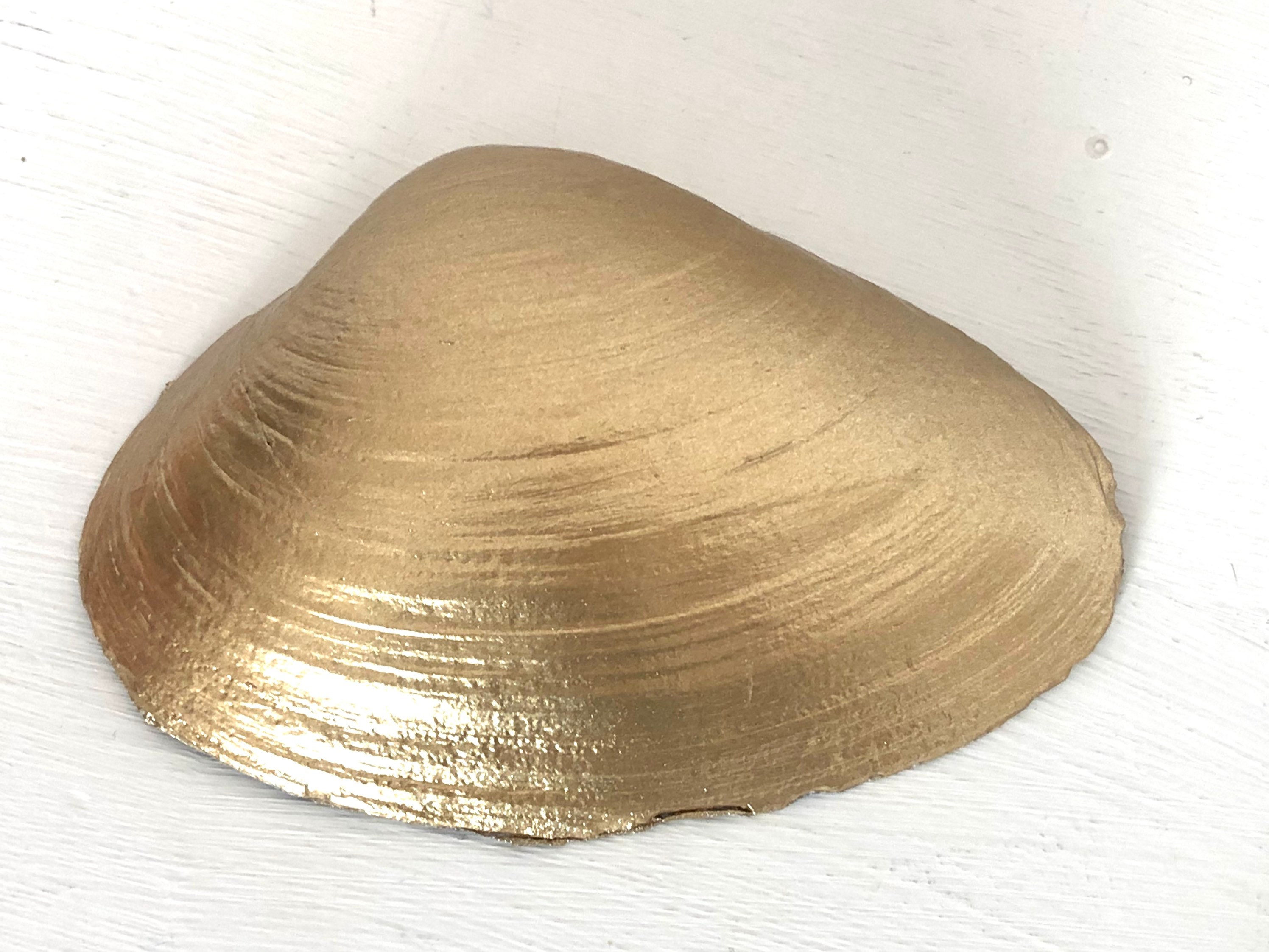 Large Decoupaged Clam Shell Trinket Ring Dish - Etsy