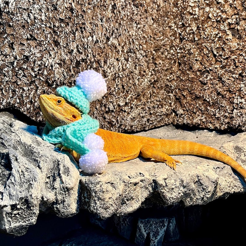 Bearded Dragon Hat Lizard Costume Reptile Hat Crochet - Etsy