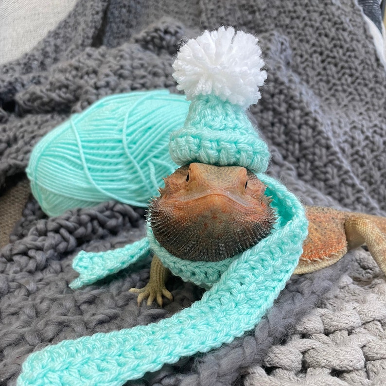 Bearded Dragon Hat Lizard Costume Reptile Hat Crochet - Etsy