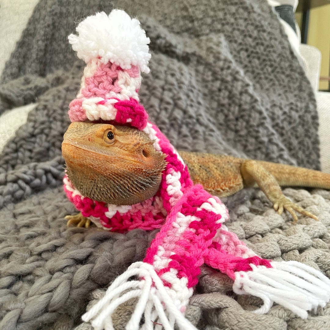 Bearded Dragon Hat, Lizard Costume, Reptile Hat, Crochet Knitted Hat ...