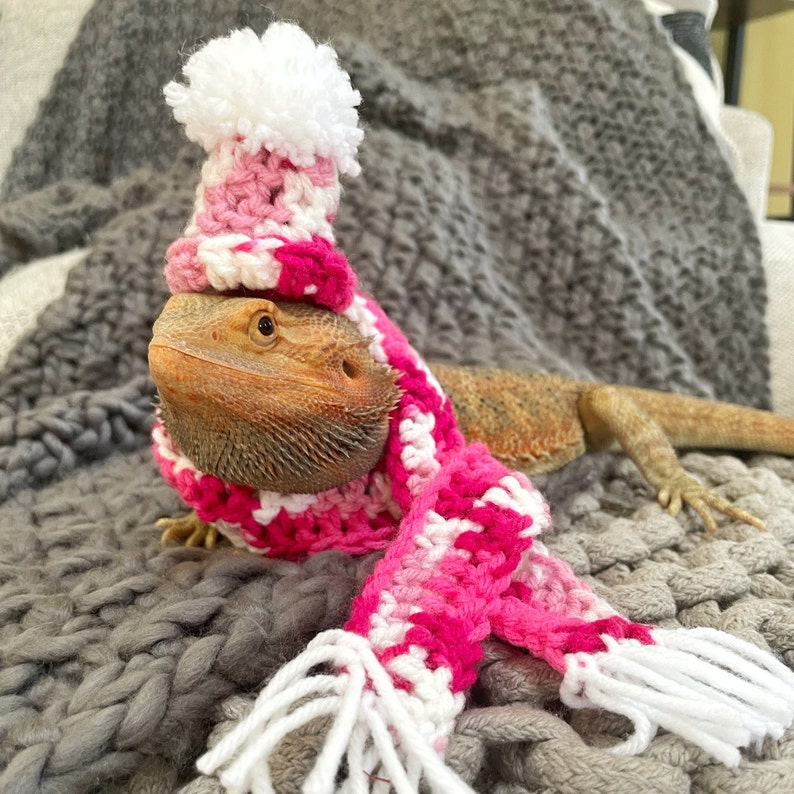 Bearded Dragon Hat Lizard Costume Reptile Hat Crochet - Etsy