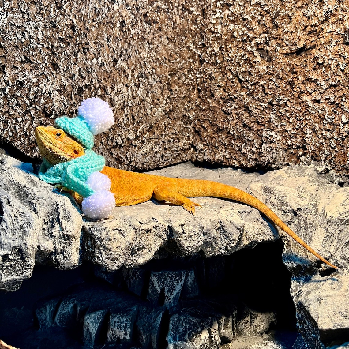 Bearded Dragon Hat, Lizard Costume, Reptile Hat, Crochet Knitted Hat ...