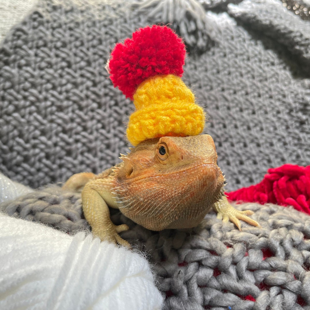 Bearded Dragon Hat, Lizard Costume, Reptile Hat, Crochet Knitted Hat ...