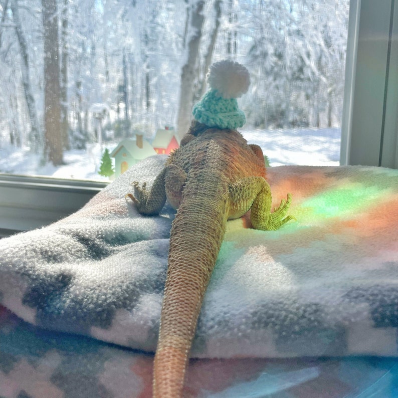 Bearded Dragon Hat Lizard Costume Reptile Hat Crochet - Etsy