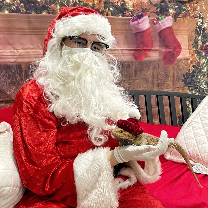 Bearded Dragon Hat Lizard Costume Reptile Hat Crochet - Etsy