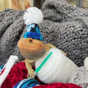Bearded Dragon Hat, Lizard Costume, Reptile Hat, Crochet Knitted Hat ...