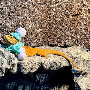 Bearded Dragon Hat, Lizard Costume, Reptile Hat, Crochet Knitted Hat ...