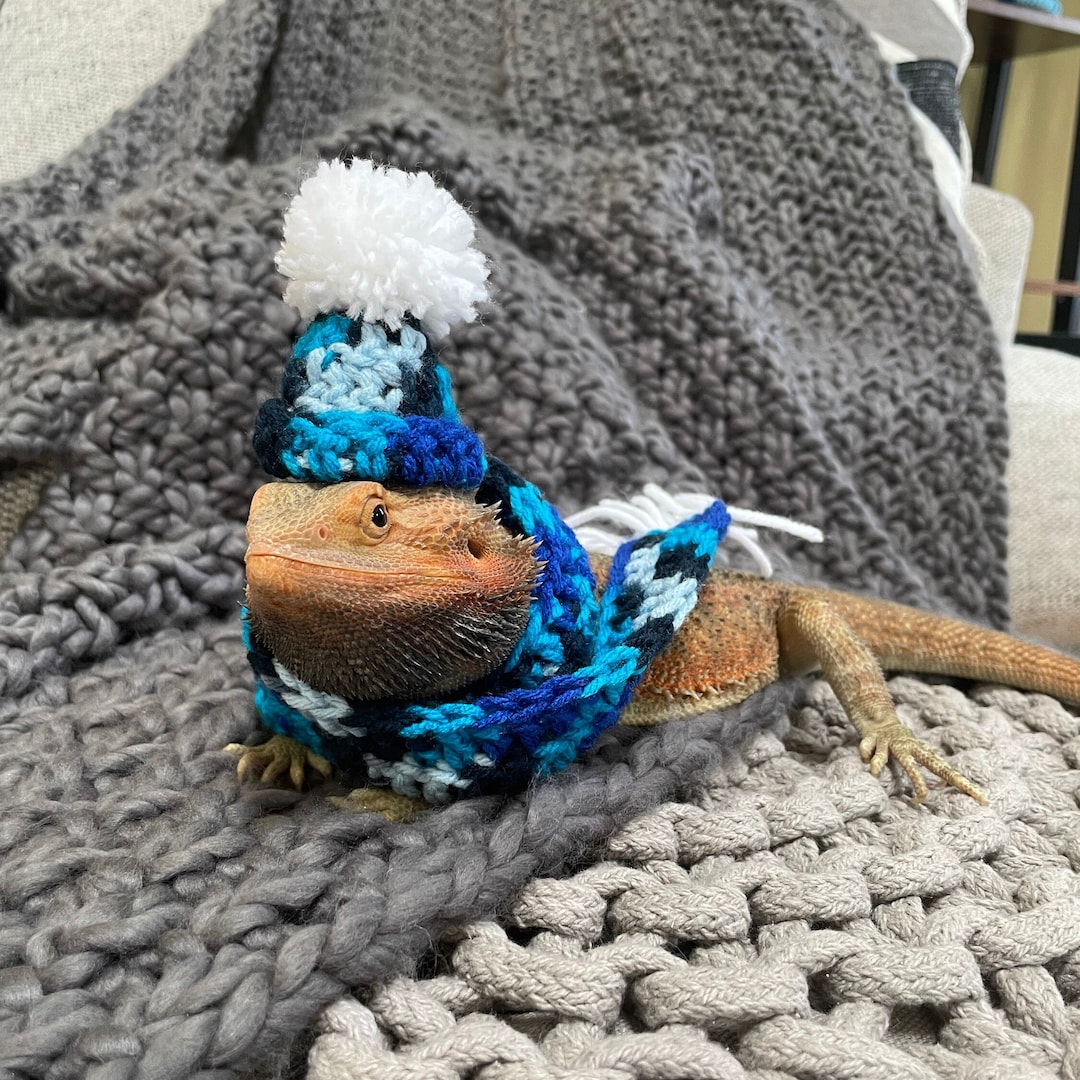 Bearded Dragon Hat, Lizard Costume, Reptile Hat, Crochet Knitted Hat ...