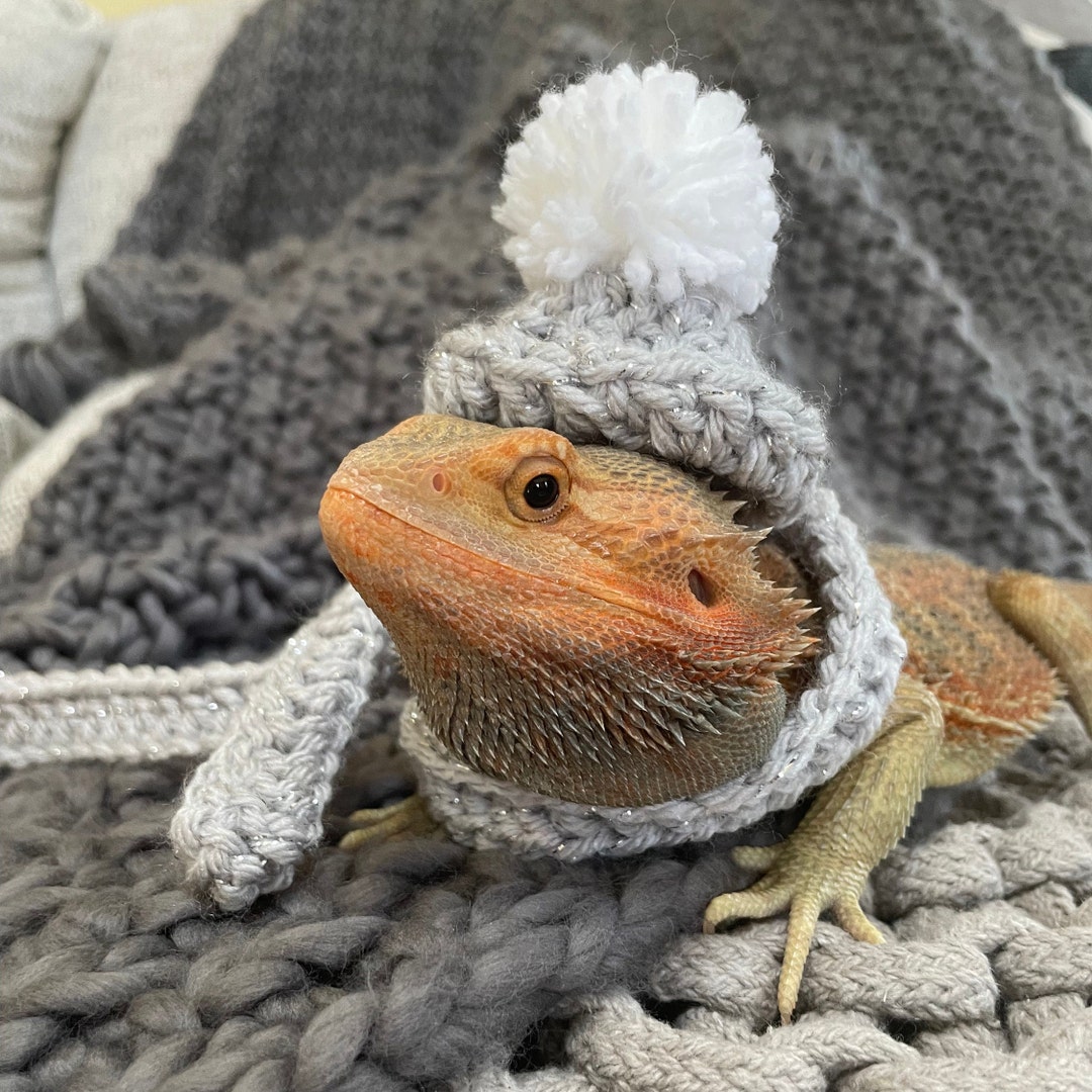 Bearded Dragon Hat, Lizard Costume, Reptile Hat, Crochet Knitted Hat, Snake Hat, Cute Hat ...